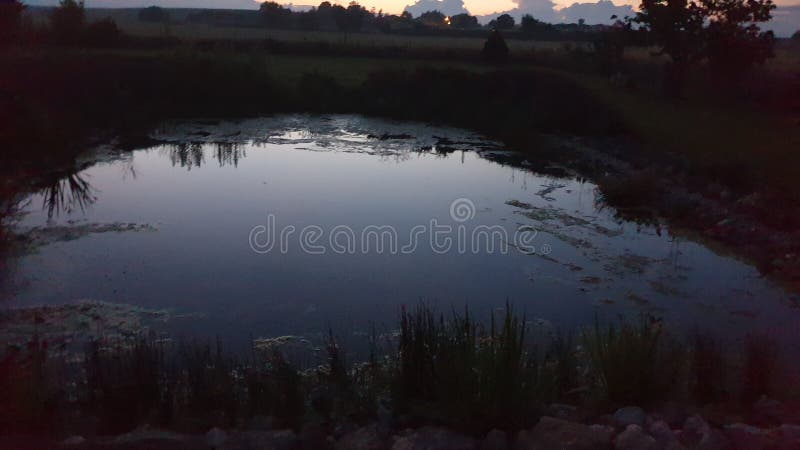 Pond in the evening stock image. Image of sunrise, algae - 222810039