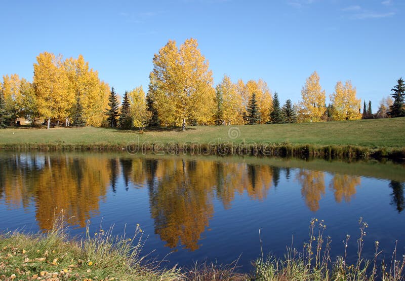 Pond in Fall 4 stock photo. Image of lake, leaves, fall - 312848