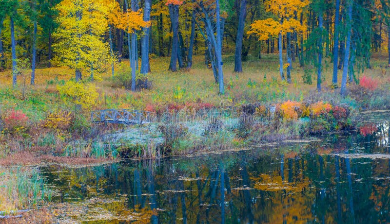 Pond in fall forest stock image. Image of dawn, soft - 67765969