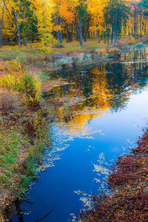 Pond in fall forest stock photo. Image of forest, pond - 67765986