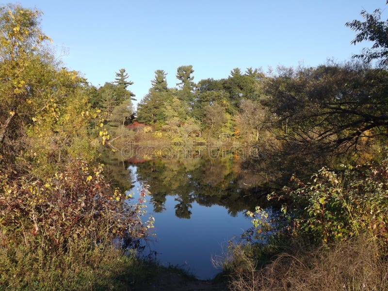 Pond in the Fall stock photo. Image of rest, adorable - 43029154