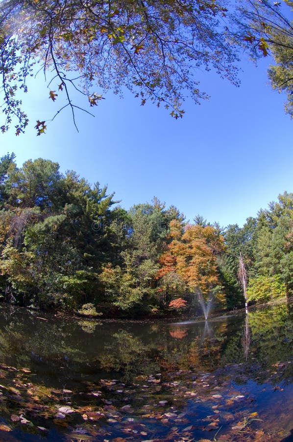 Pond and Fall Leaves with Wide Angle Stock Image - Image of water ...
