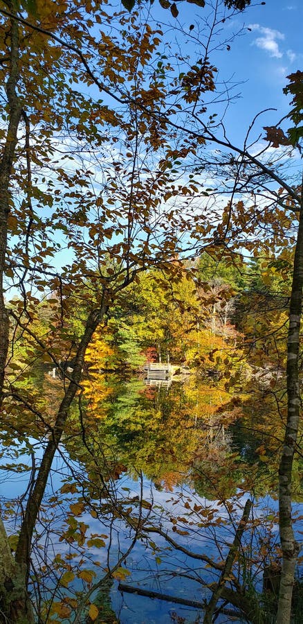 Pond in Fall stock image. Image of pond, nature, leaves - 166122133