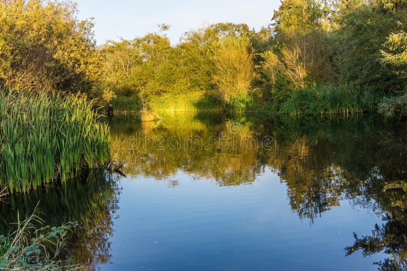 Pond at Normandy Park 7 stock image. Image of autumn - 260359689