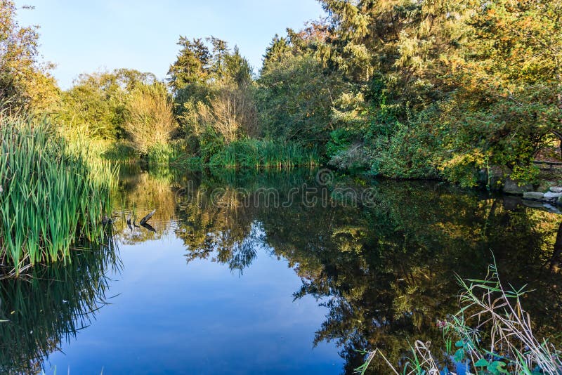 Pond at Normandy Park 5 stock photo. Image of normandy - 260445714