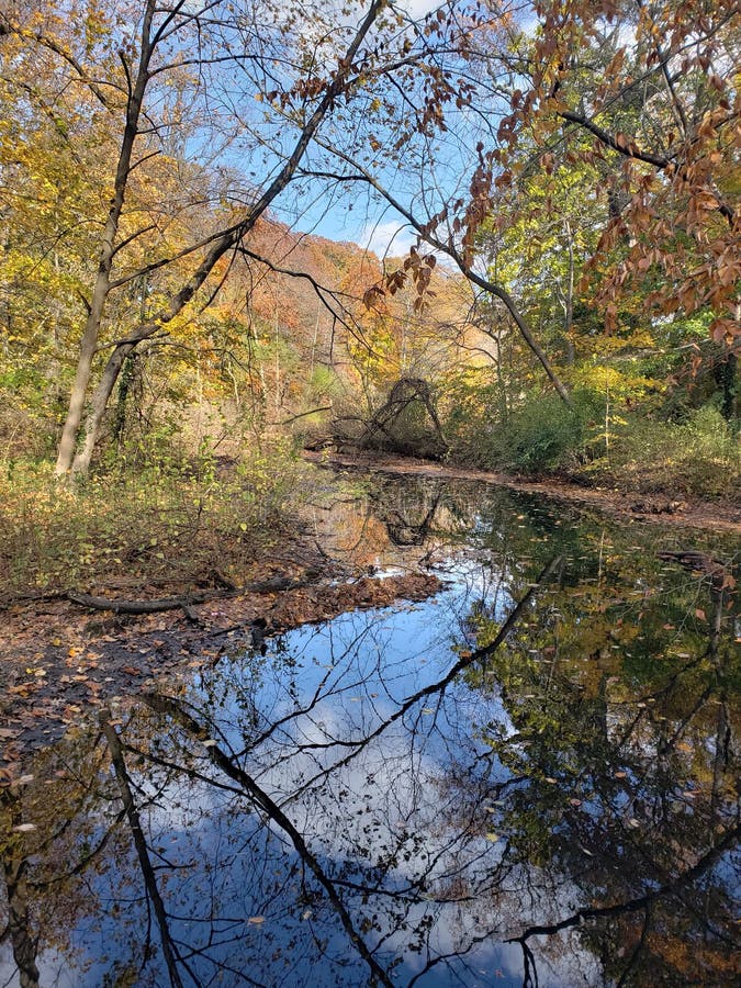 Pond in fall stock photo. Image of nature, pond, autumn - 237965830