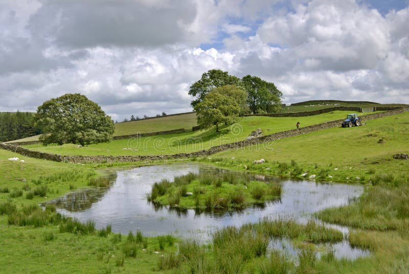 Tranquil Pond in Rolling English Countryside Stock Photo - Image of ...