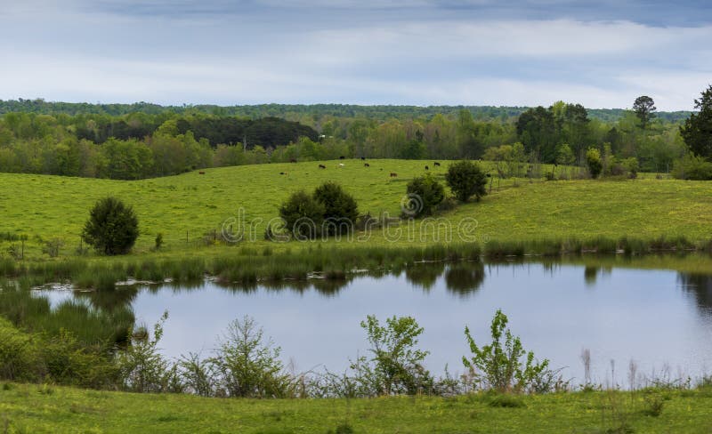 A Pond in the Field stock image. Image of reflections - 181228567