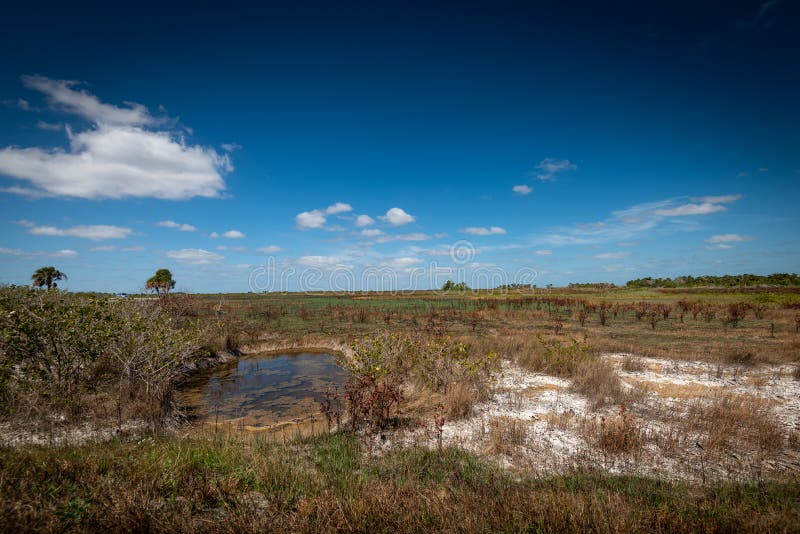Pond and field stock photo. Image of exterior, landscape - 212099688