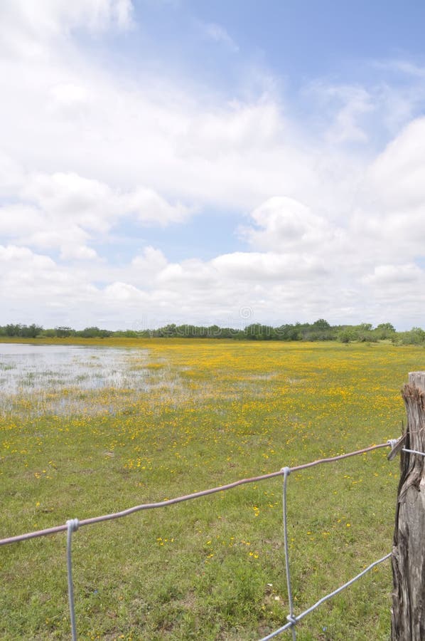 Pond in a field with fence stock photo. Image of water - 14326922