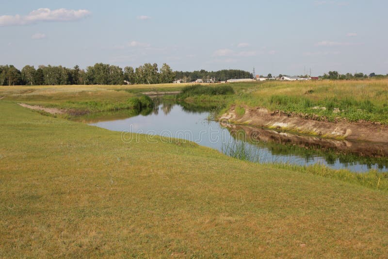 Pond in Field Near Forest 18268 Stock Image - Image of idyllic, nature ...
