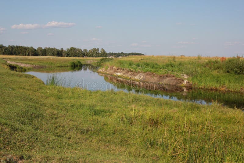 Pond in Field Near Forest 18275 Stock Image - Image of quiet, beauty ...