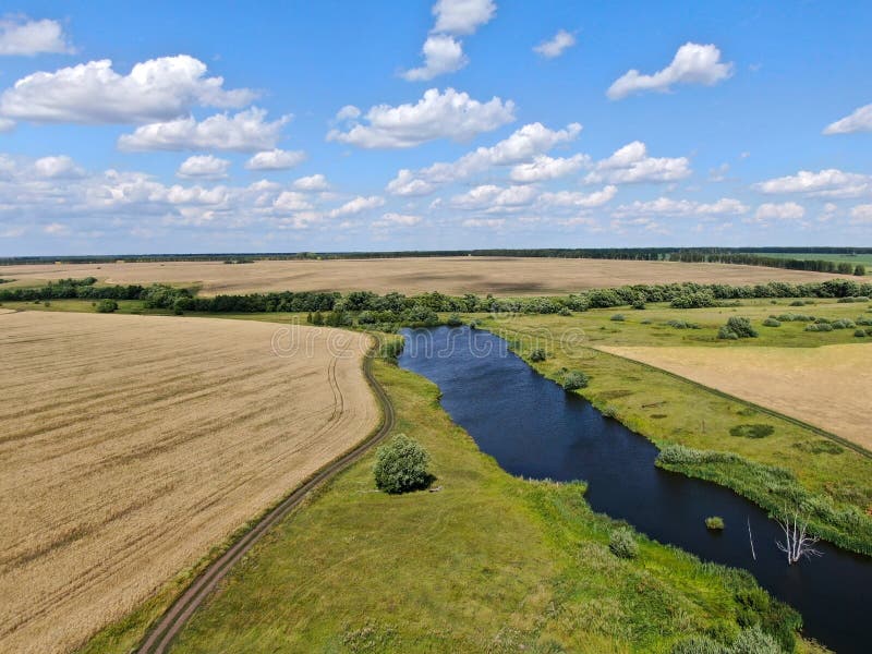 Pond and Fields with Harvest on a Sunny Day Stock Photo - Image of ...