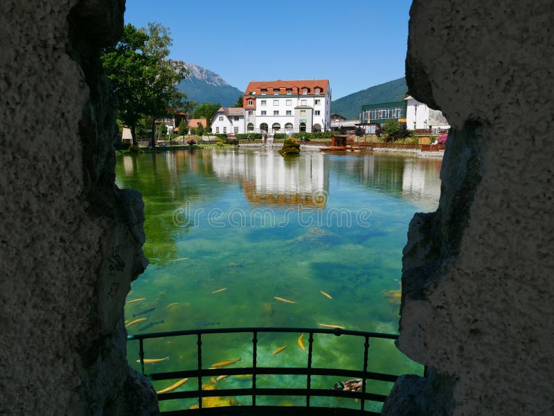 A Pond with Fish in Puchberg am Schneeberg Editorial Photo - Image of ...