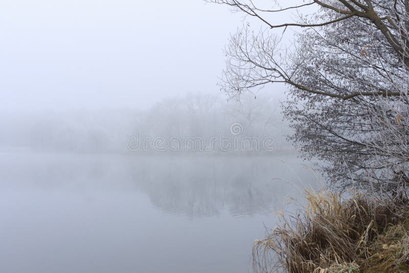 Pond in the fog stock image. Image of december, temperature - 62043565