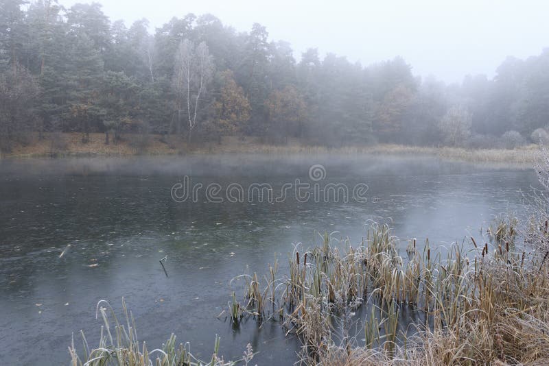 Pond in the fog stock photo. Image of night, december - 62043644