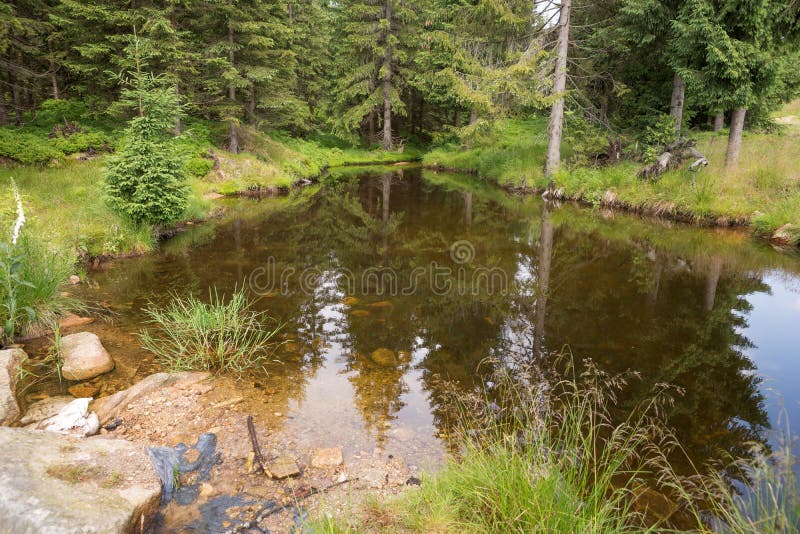 Pond in the Forest Landscape Stock Photo - Image of pond, stone: 65704664