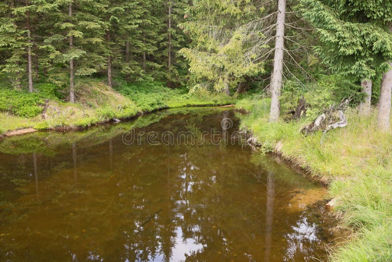 Pond in the Forest Landscape Stock Image - Image of pond, water: 65704747