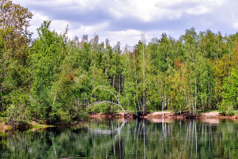 Pond in forest stock image. Image of outdoor, spring - 39467645