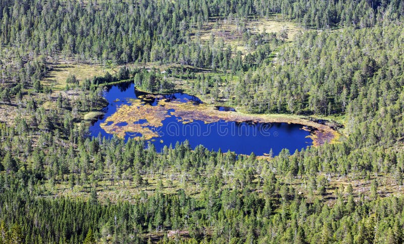 Pond in forest stock image. Image of water, view, sight - 167084125