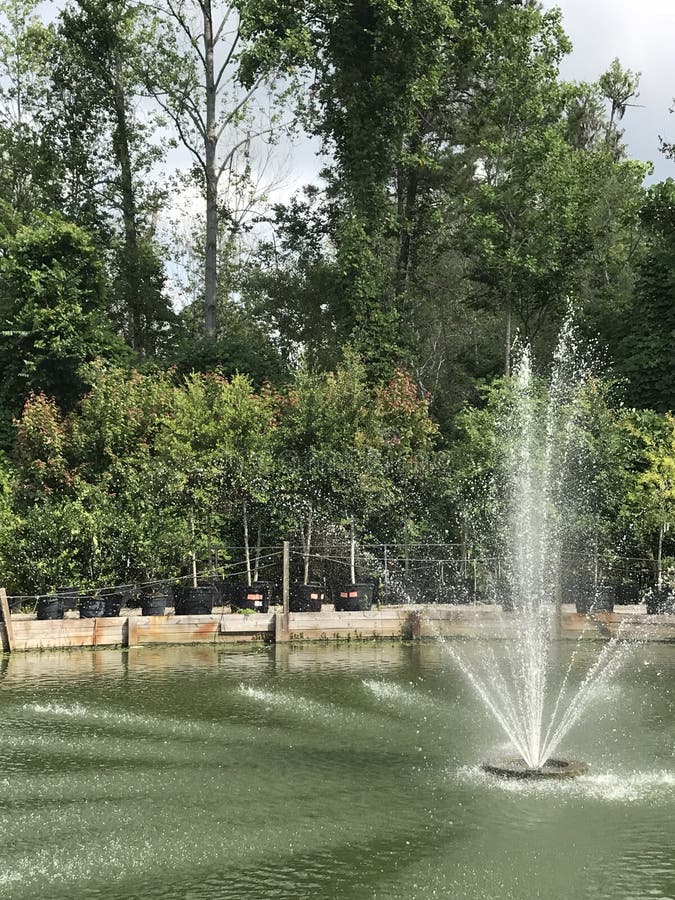 Pond Fountain at my campus stock photo. Image of campus - 171067690