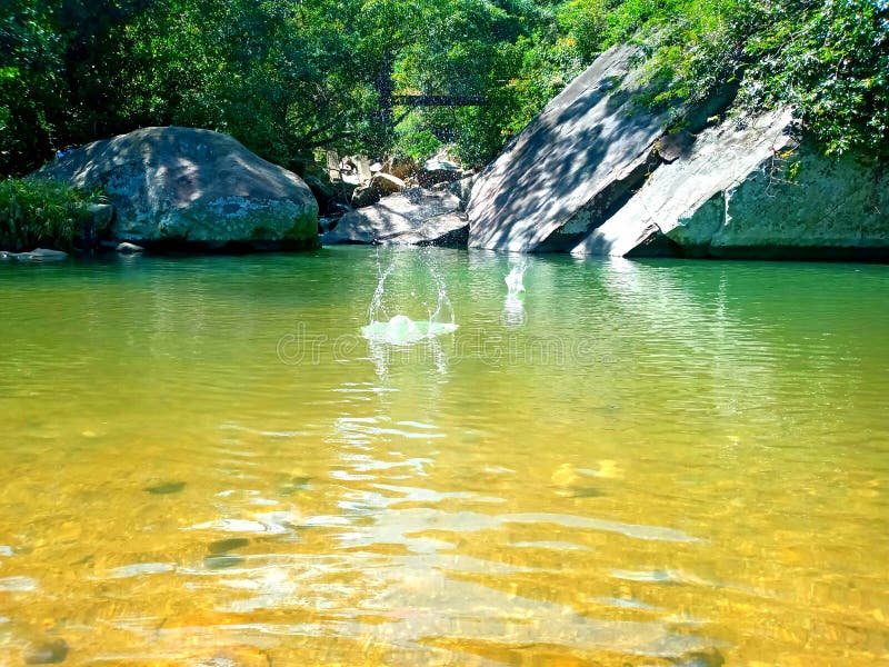 Pond full of clear water stock photo. Image of tree - 251726564