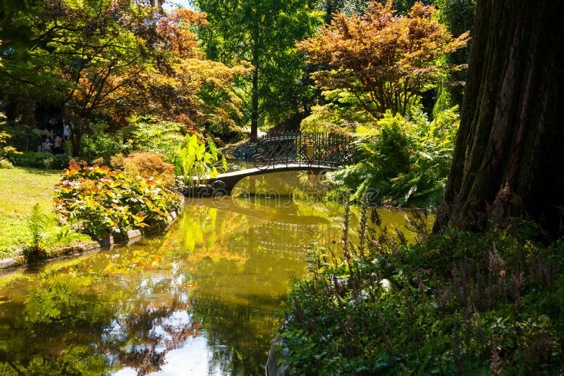 Pond in a Garden with a Bridge and Beautiful Trees Stock Photo - Image ...