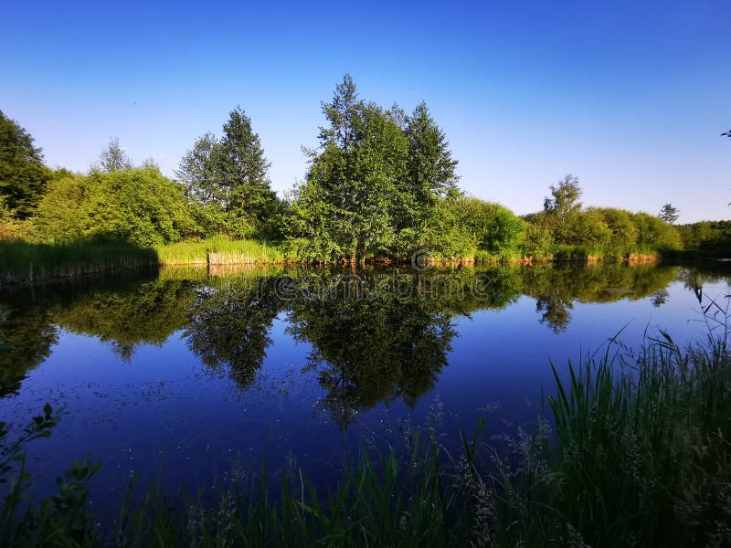 Pond, grass, trees. stock image. Image of wyniki, grass - 254864111