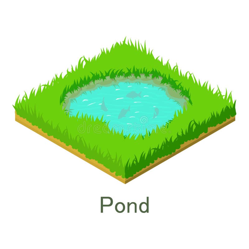 Garden Pond Icon, Isometric Style Stock Vector - Illustration of ...