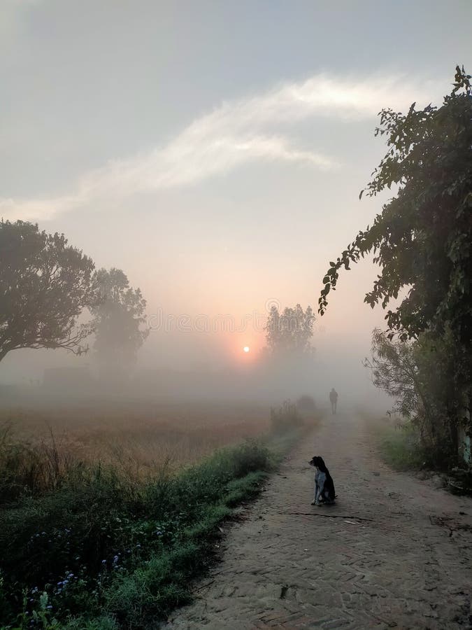 Good Morning Sun Rise in Village Stock Photo - Image of morning, park ...