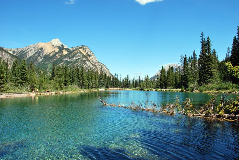 Pond in Kananaskis Area stock photo. Image of alberta - 5905496