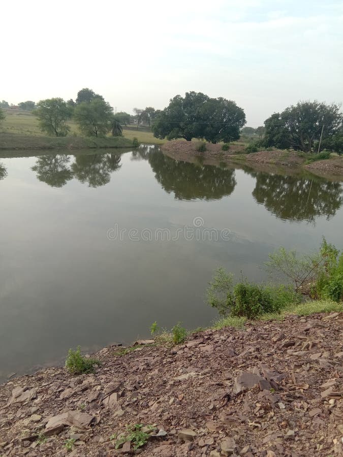 Pond is lake stock photo. Image of fishpond, gross, waterway - 197924738