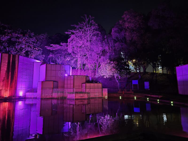 Pond Landscape at Night Beautiful Attractive Light Colour Stock Image ...