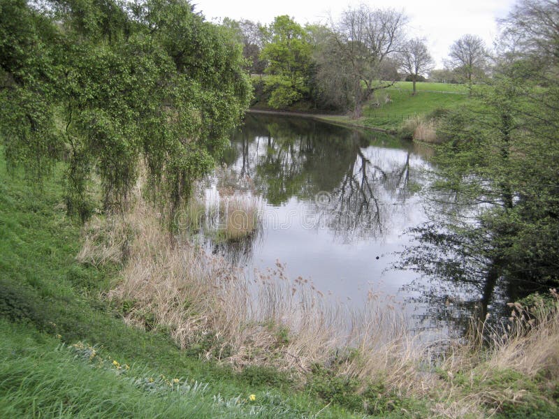 Pond in local park stock image. Image of local, dublin - 236397849