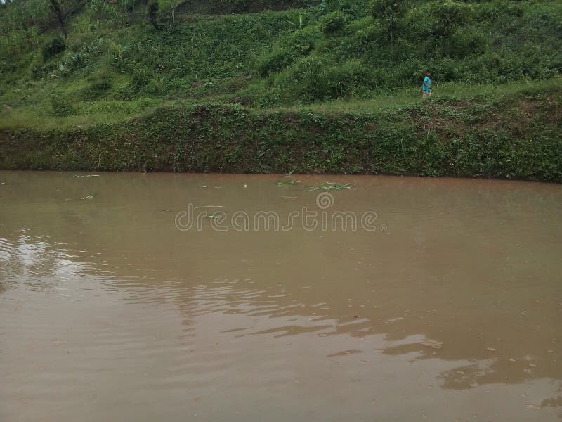 Pond stock photo. Image of pond, rearing, local, fish - 124871810