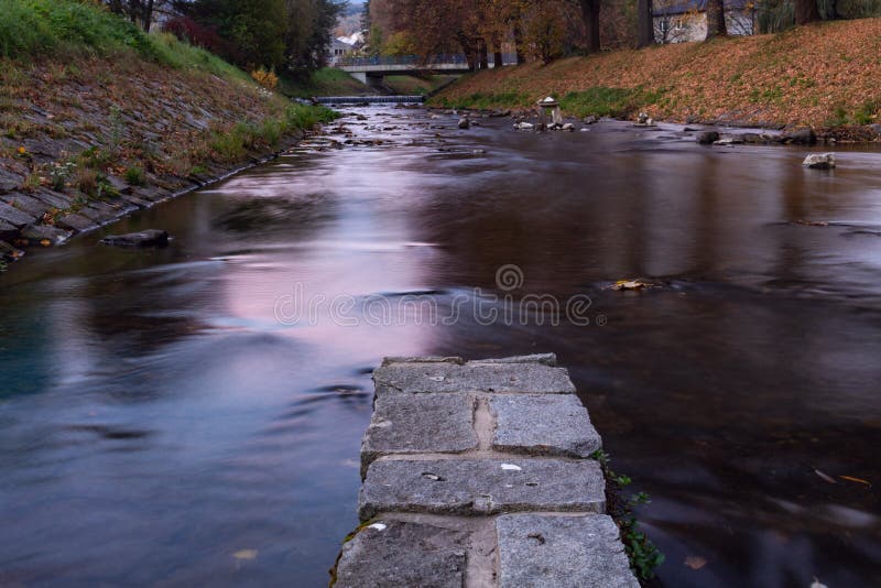 Pond. Looking for Water in a Pond Stock Photo - Image of gardening ...
