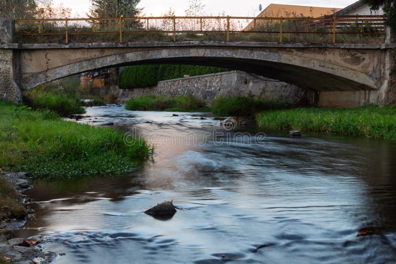 Pond. Looking for Water in a Pond Stock Photo - Image of garden, design ...