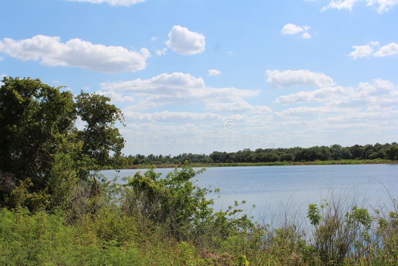Pond at Marshall Hampton Reserve Along Panther Point Trail Stock Photo ...