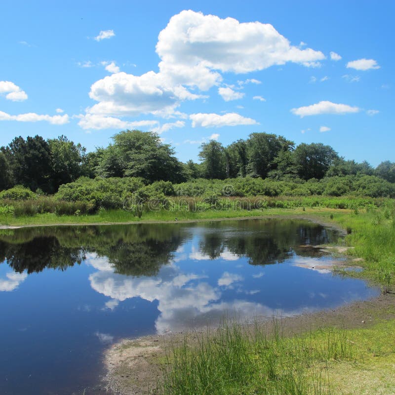 Pond on Martha s Vineyard stock image. Image of reflection - 25953655