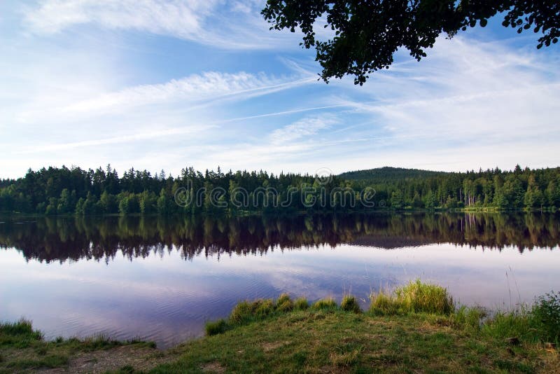 Pond in the Morning Countryside Stock Photo - Image of travel, green ...