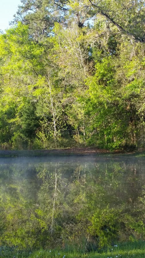 Pond in the morning stock photo. Image of pond, morning - 111786752
