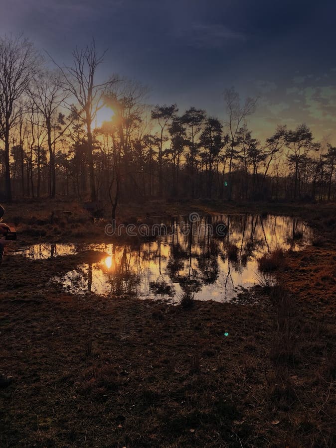 Pond stock image. Image of pond, tree, evening, vieuw - 107728409