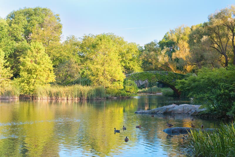 Pond in the New York Central Park Stock Image - Image of american ...