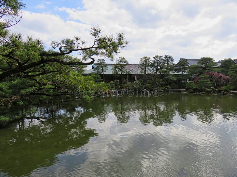 A Pond with Nice Reflection on it Stock Photo - Image of travel, tree ...