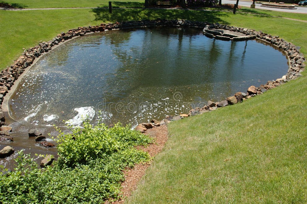 Pond in the Park stock image. Image of outside, pond, grass - 4969