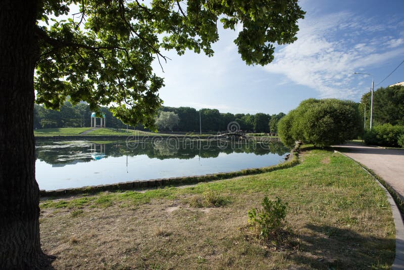 The Pond in the Park at Sunset Stock Photo - Image of nature, summer ...