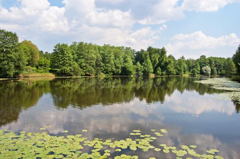 Pond in park stock photo. Image of landscape, colored - 16884752