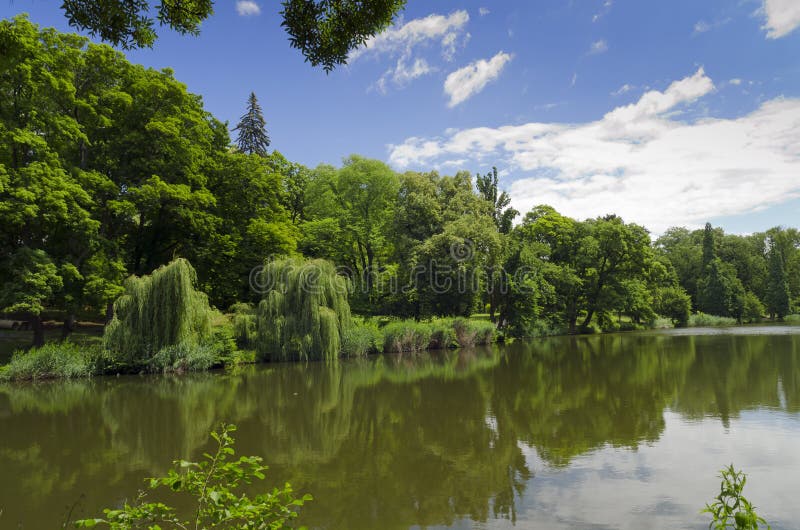 Pond in park stock image. Image of park, lake, blue, lush - 20026673