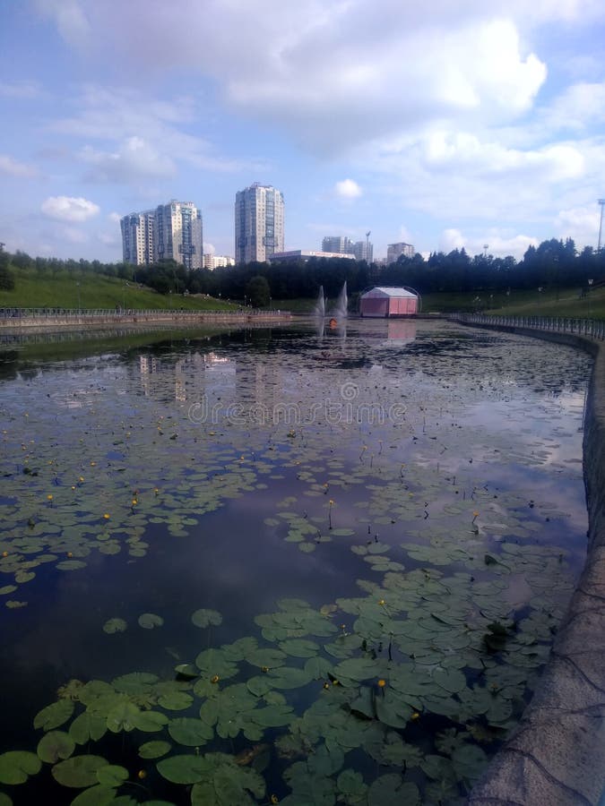 A pond in the park stock photo. Image of park, waterplants - 223517988