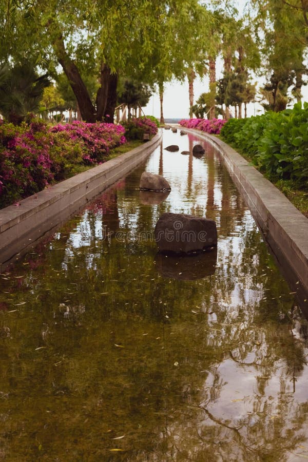 Artificial Pond in a Summer Park. Beautiful Landscape Stock Image ...